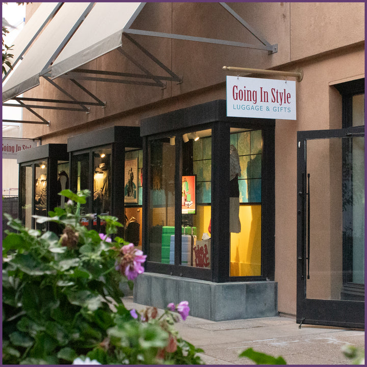 Going In Style Stanford Travel Accessories & Luggage